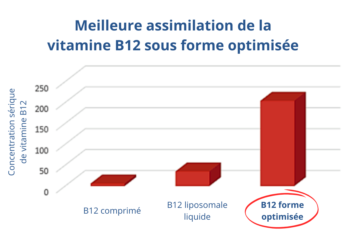 Vitamine B12 Optimisée - Cell'innov