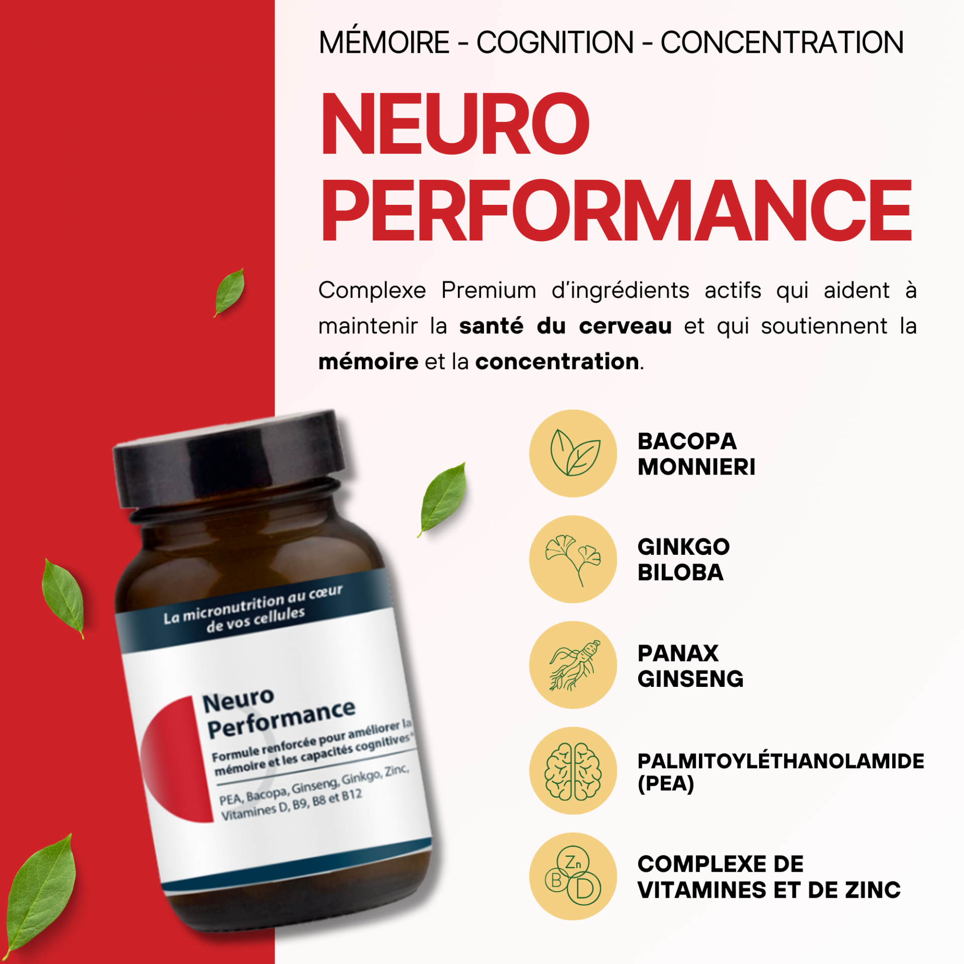 Neuro Performance - Cell'innov