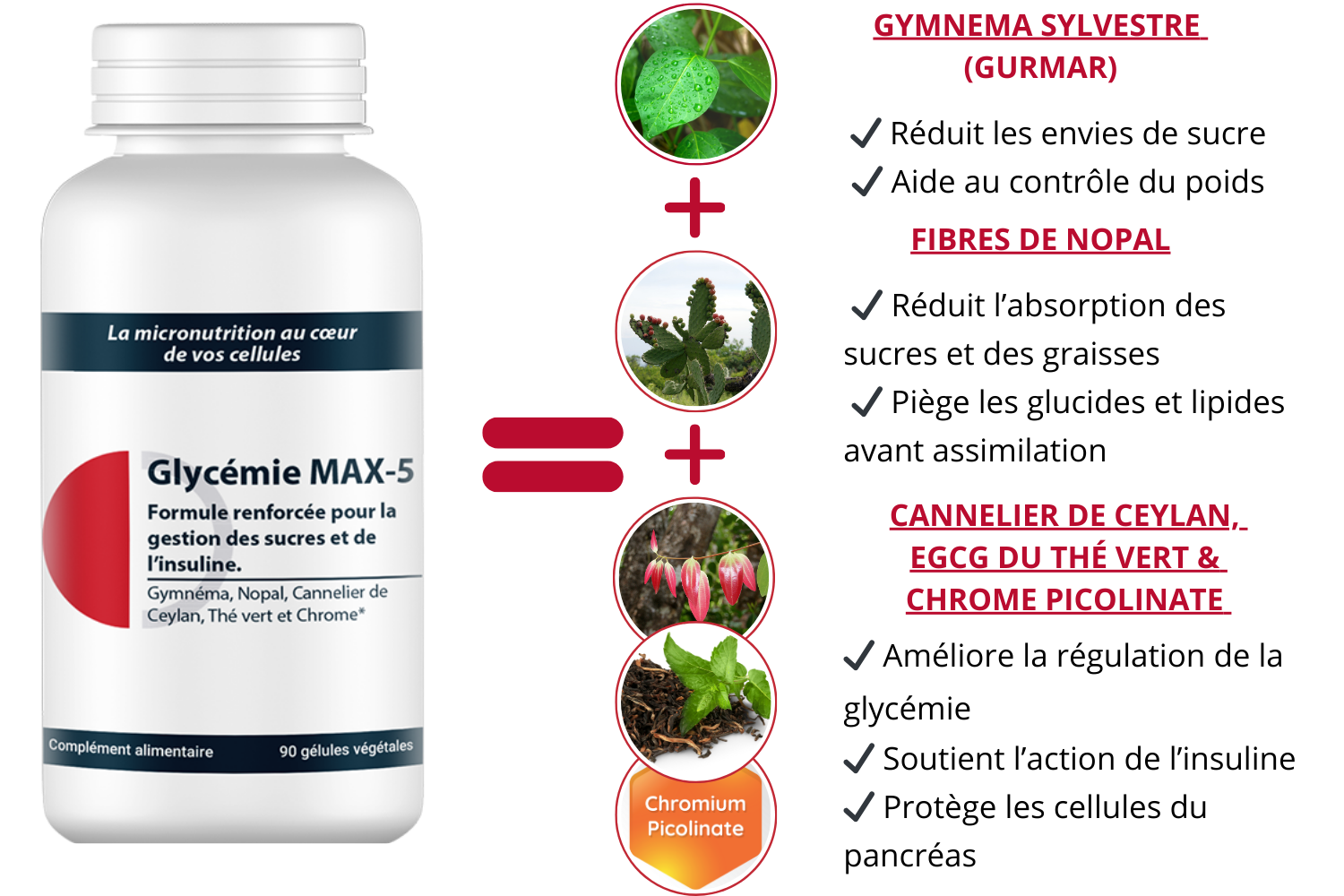 Glycémie MAX-5 - Cell'innov